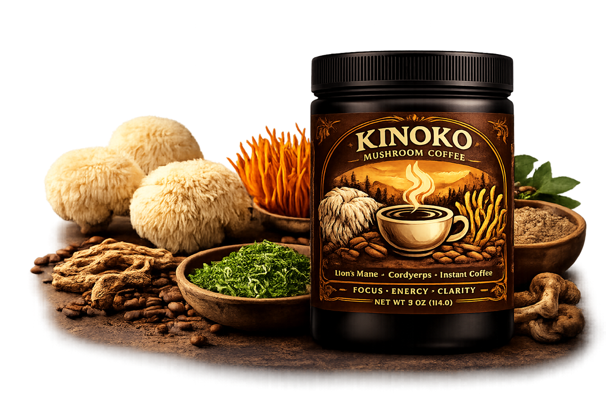 About Kinoko - KINOKO